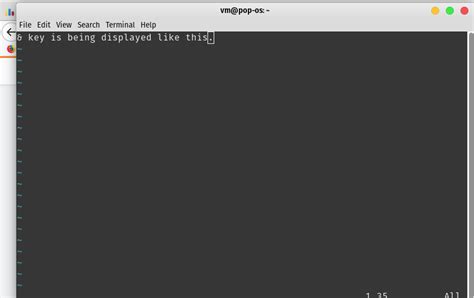 vim not recognizing l key and stack overflow