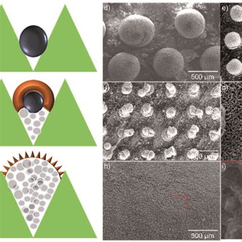 Ac The Liquidsolid Transformation Of Egain Liquid Droplets In The