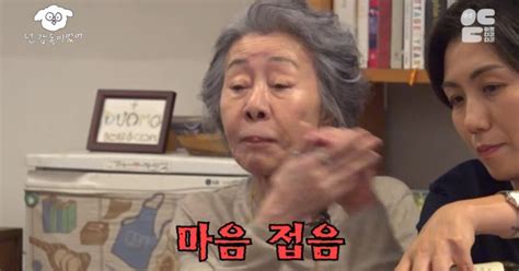 윤여정 ‘파친코 오디션 자존심 상해 거절 50년 커리어 망칠 수 없어”이응디귿디귿