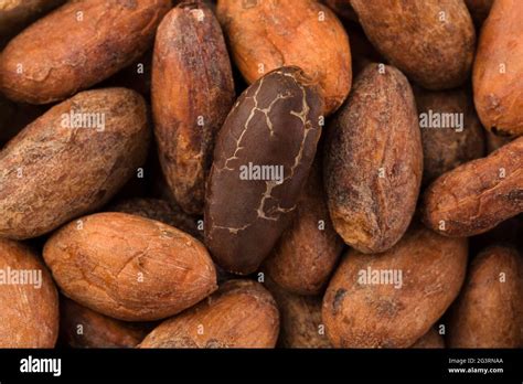 Unpeeled Cocoa Beans Background From Above Stock Photo Alamy