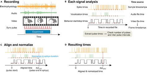 Figure 1 From Protocol For Precise Signal Synchronization Of Electrophysiology Videography And