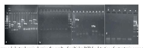 Figure 1 From Rapid Method For Detection Of Staphylococcus Aureus Enterotoxins In Food