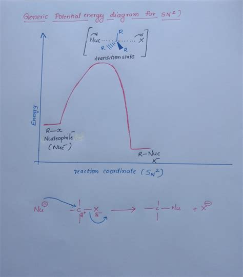 Sketch A Diagram Showing The Potential Energy Surface For A Generic Sn2