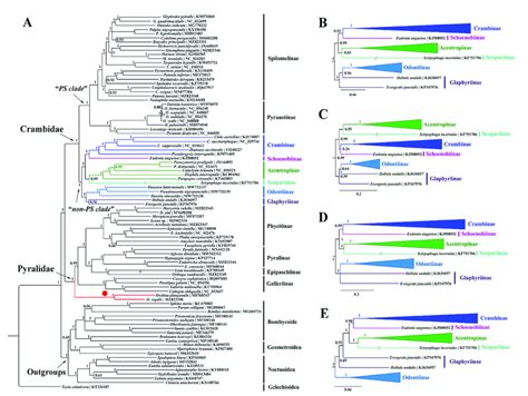 resulting trees constructed with mrbayes for five datasets a the