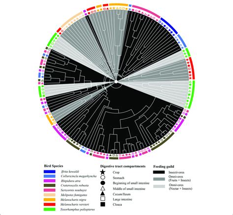 Dendrogram Based On Bray Curtis Dissimilarity Of Dtms Between