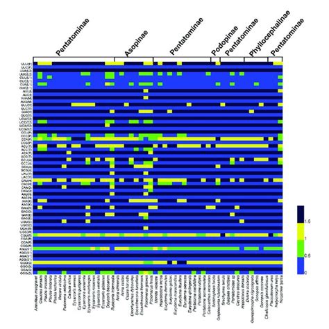 Heatmap Analysis Of Relative Synonymous Codon Usage Rscu Values Among