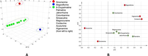 3d Score Scatter Plot A And Loading Scatter Plot B Of Principal