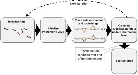 ant colony optimization