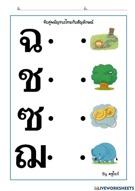 Mendelian Inheritance Homeschool Preschool Activities Learn Thai School Subjects Online
