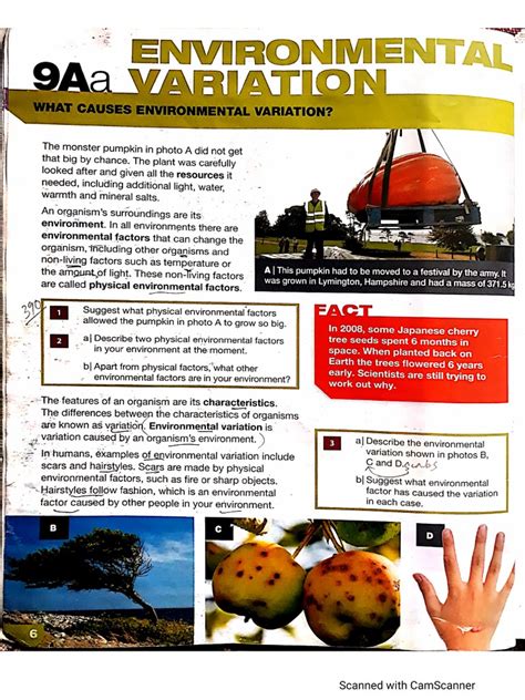 Exploring Science 9 Ch 9a Pdf