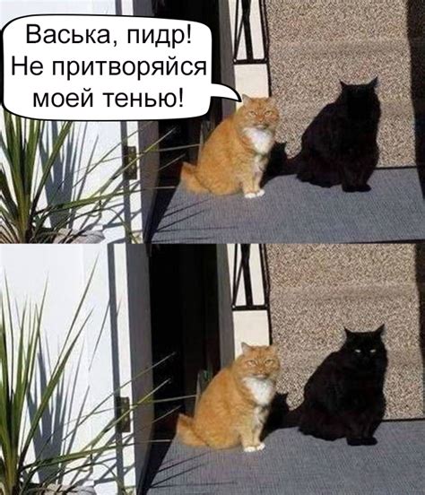 Смешные до слёз картинки40 фото