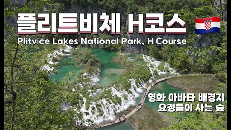 크로아티아 왔음 가야지 요정이 사는 숲 플리트비체 국립공원 H코스에 대한 모든 것 [플리트비체 크로아티아] Ep10