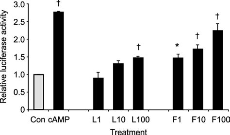 Gonadotrophins Induce Cre Mediated Gene Transcription In Ose Cells