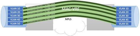 Evpn Mpls Port Based Vlan Aware Bundle Service Bgp Help