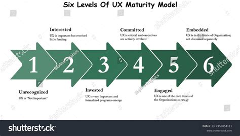 Six Levels Ux Maturity Model Infographic Stock Vector Royalty Free Shutterstock