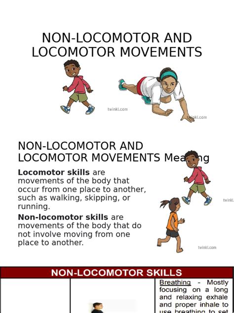 Non Locomotor And Locomotor Movements And Other Topics Pdf