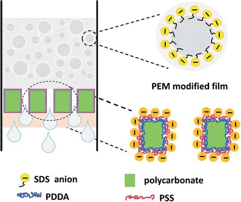 A Sem Image Of The Pem Coated Polycarbonate Membrane B The