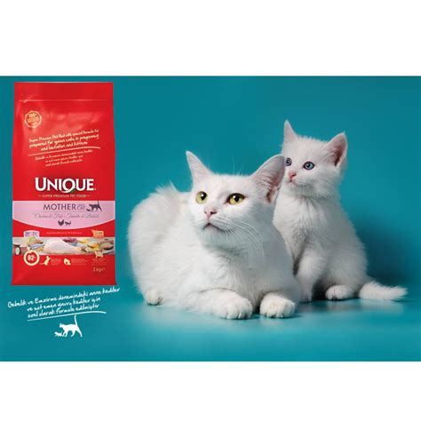 قیمت و خرید غذای خشک گربه یونیک مدل مادر اند بیبی کت وزن 2 کیلوگرم