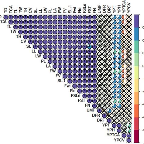 Principal Component Analysis Of Growth And Yield Related Attributes Of Download Scientific