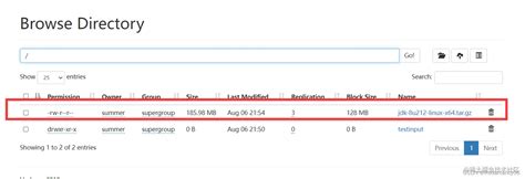 Hadoop运行模式（三）、群起集群、配置workers、启动集群、启动hdfs、拼接、web端查看hdfs的namenode、web端查看