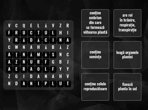Organele Unei Plante Cu Flori Wordsearch
