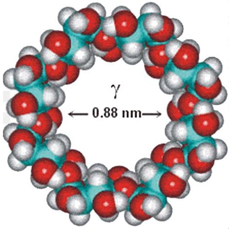 生物化学 多糖结构 蕴瑜课堂