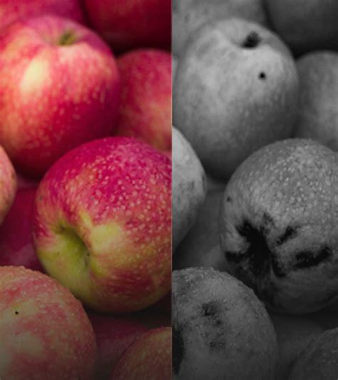 Imaging Blog Stemmer Imaging