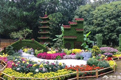 2018上海嘉定菊花展时间地点门票 上海游攻略 墙根网
