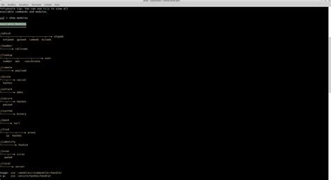 Exploit Framework Anonymousghost