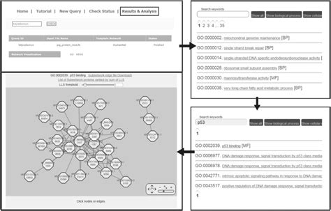 Visualization And Analysis Of Subnetworks For Molecular Concepts The