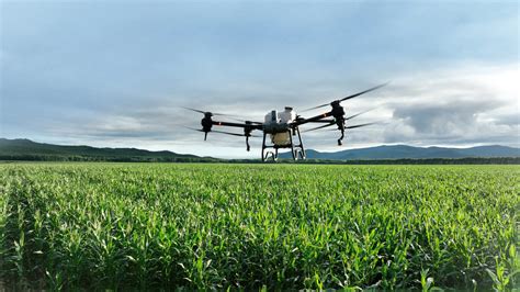 Drones Agrícolas Mejoran Calidad De Cultivos Drones Para Agricultura