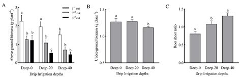 Drip Irrigation Depth Alters Root Morphology And Architecture And Cold Resistance Of Alfalfa