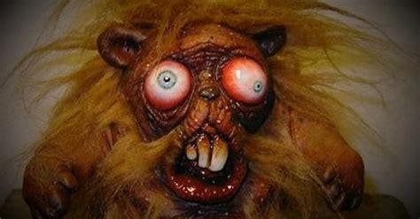 What The Lorax Would Look Like In Real Life Imgur