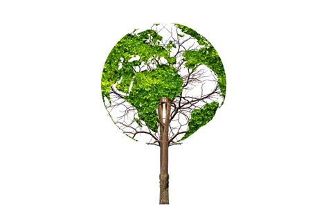 Tree In The Green Globe Isolate On Transparent Background PNG File PNG