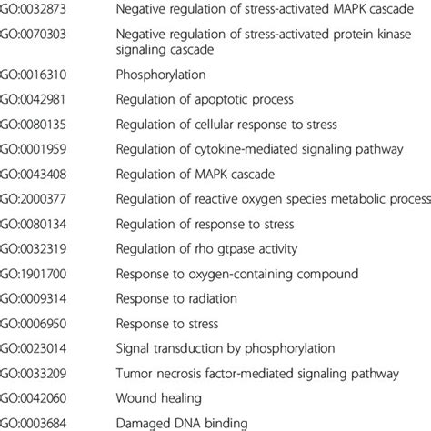 Multi Dimensional Scaling Plot Showing Distinct Sampling Populations
