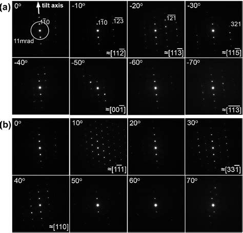 Figure 1 From Three Dimensional Imaging Of Dislocations In A Ti35massnb Alloy By Electron