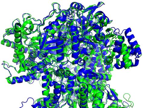 Highly Accurate Protein Structure Prediction With Alphafold
