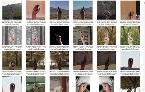 ＜数据集＞手势识别数据集＜目标检测＞ 手势识别labelimg标注 csdn博客