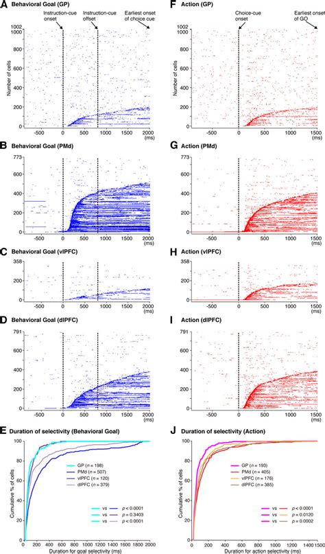 Temporal Profiles Of Neuronal Selectivity For Behavioral Goals And