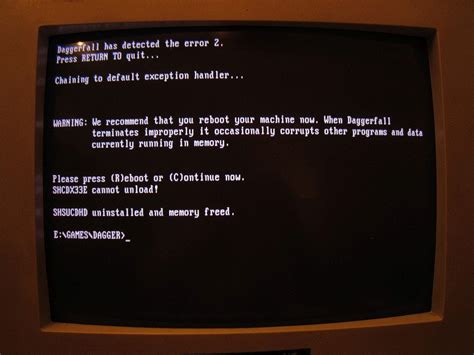 When You Have No Idea How To Fix Your Memory Access Violations But You Still Have Deadlines To
