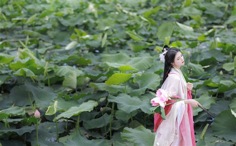 [Язык художественного изображения] 2022 08 06 В горах Фусу а в Си Хэхуа V2ph