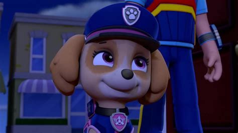 Skye Skye Paw Patrol Foto 42903363 Fanpop
