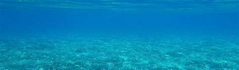 List Of Potential Marine Contaminants