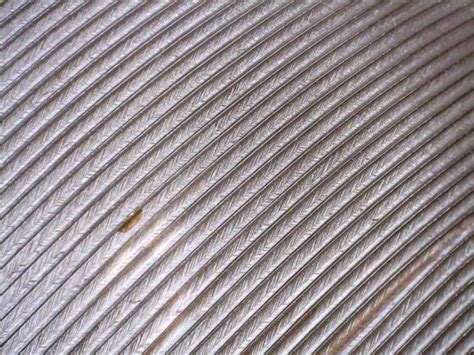 What Everyday Things Look Like Under The Microscope