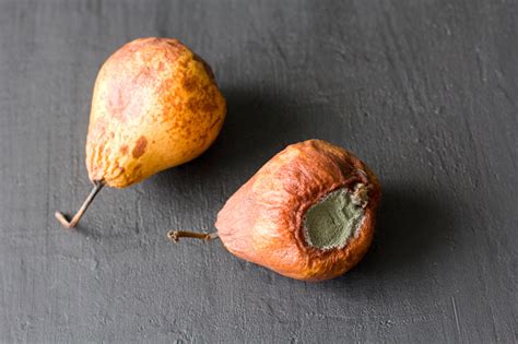 썩은 버 릇 썩은 과일 배 검은 어두운 배경에 썩은 배 손상 된 제품 곰 팡이 텍스트의 공간을 복사 합니다 정물화 과일 0명에 대한 스톡 사진 및 기타 이미지 Istock