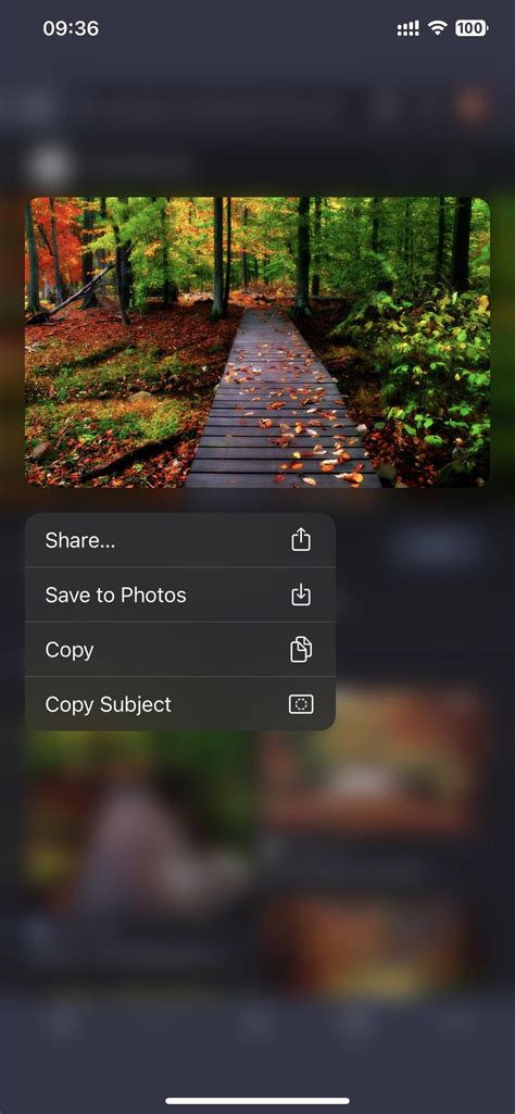Printing Image With Escpos Printer In Delphi Sometimes Prints A Black