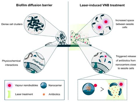 Nanomaterials For Treating Bacterial Biofilms On Implantable Medical Devices