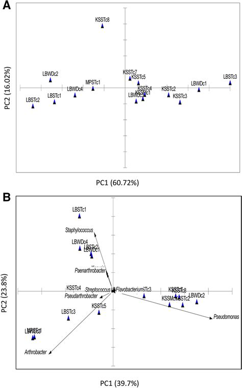 Pca And Biplot Pca Based Ordination Plots On Water Samples Download Scientific Diagram