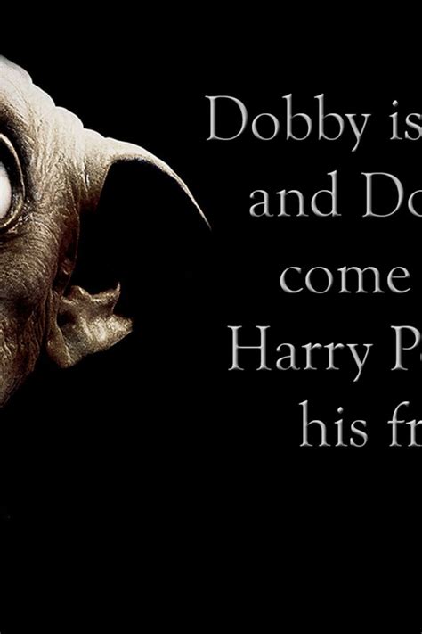 Dobby Quotes Sock