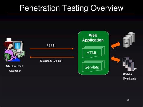 PPT Penetration Testing With Improved Input Vector Identification PowerPoint Presentation ID